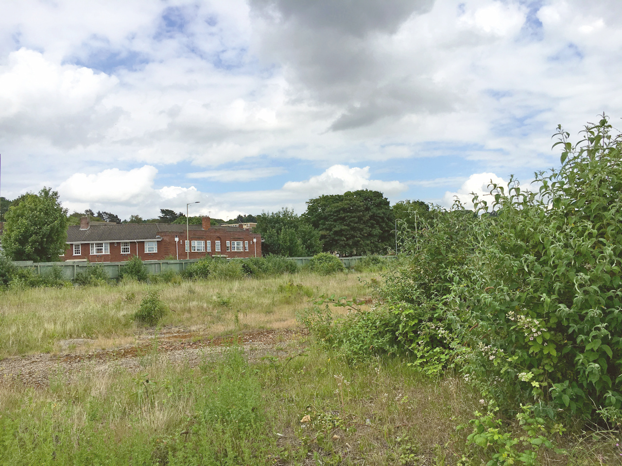A lack of vision? - CPRE Norfolk